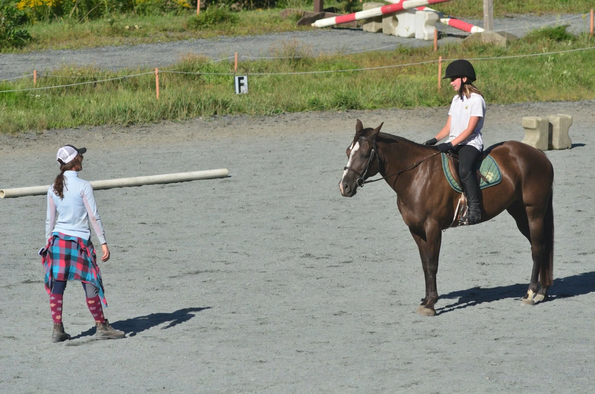 Services — Round Robin Farm