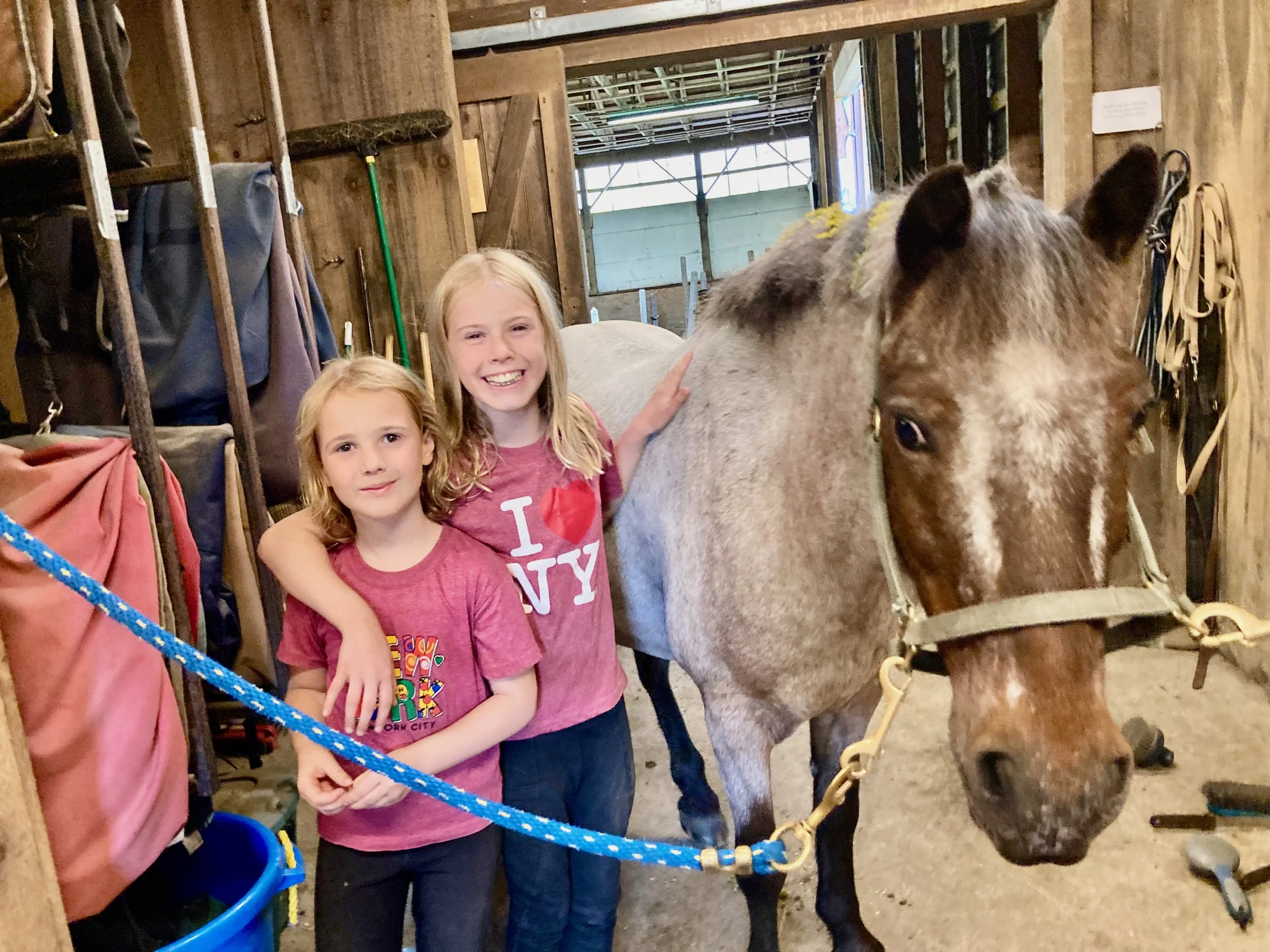 Camps — Round Robin Farm