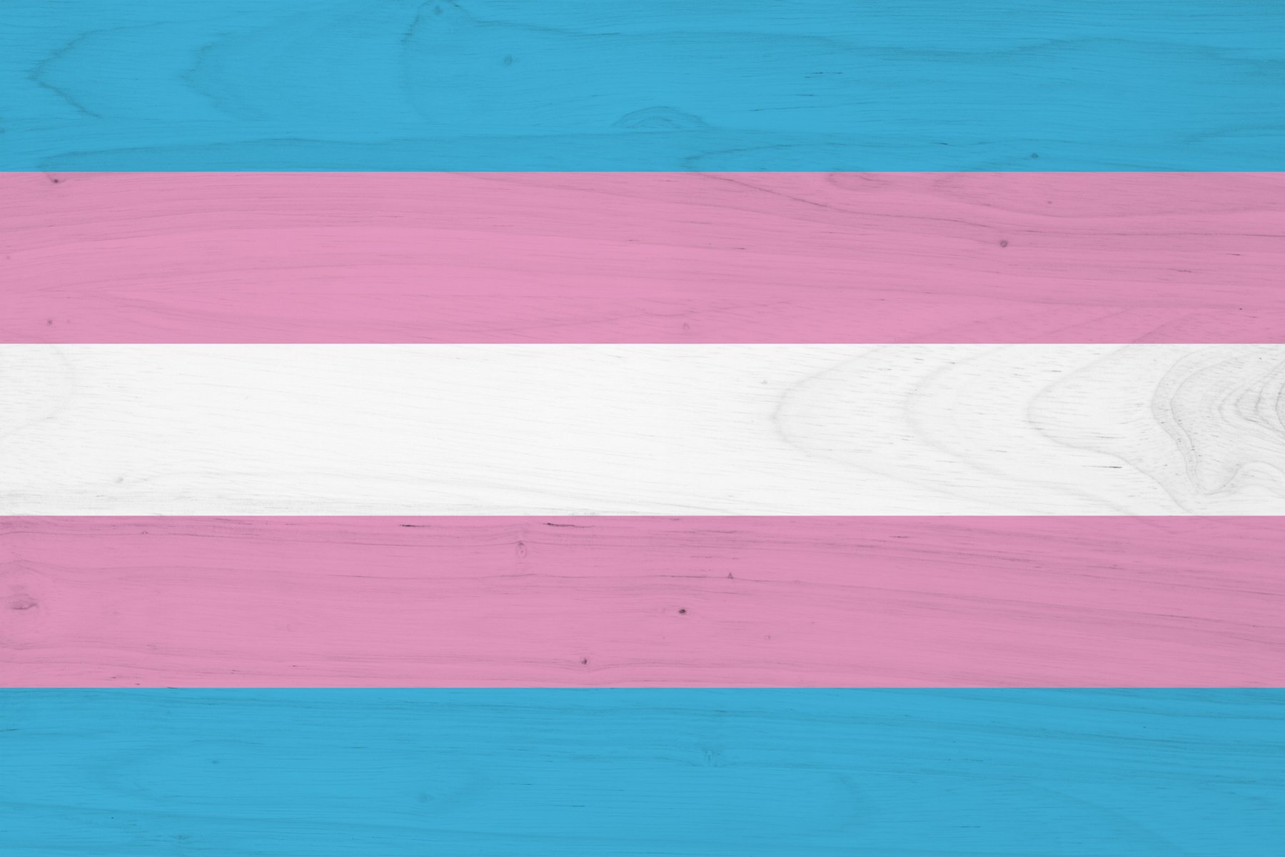 Transgender Therapy - Counseling Tampa, FL | Hillsborough County ...