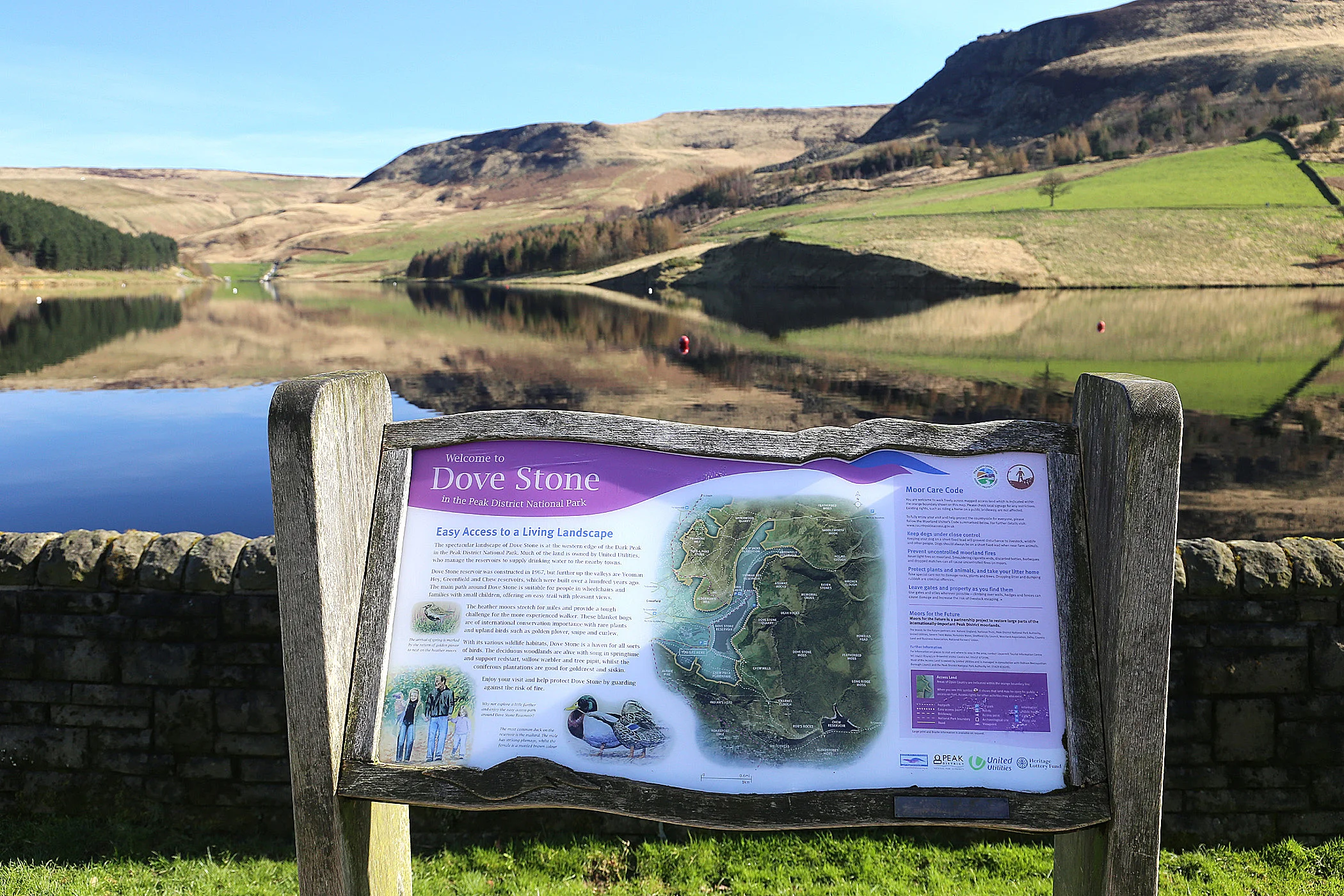 Chew Track Nordic Challenge — UProjects