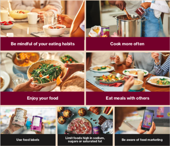 Canada’s New Food Guide - 2019 — Plant Powered Youth