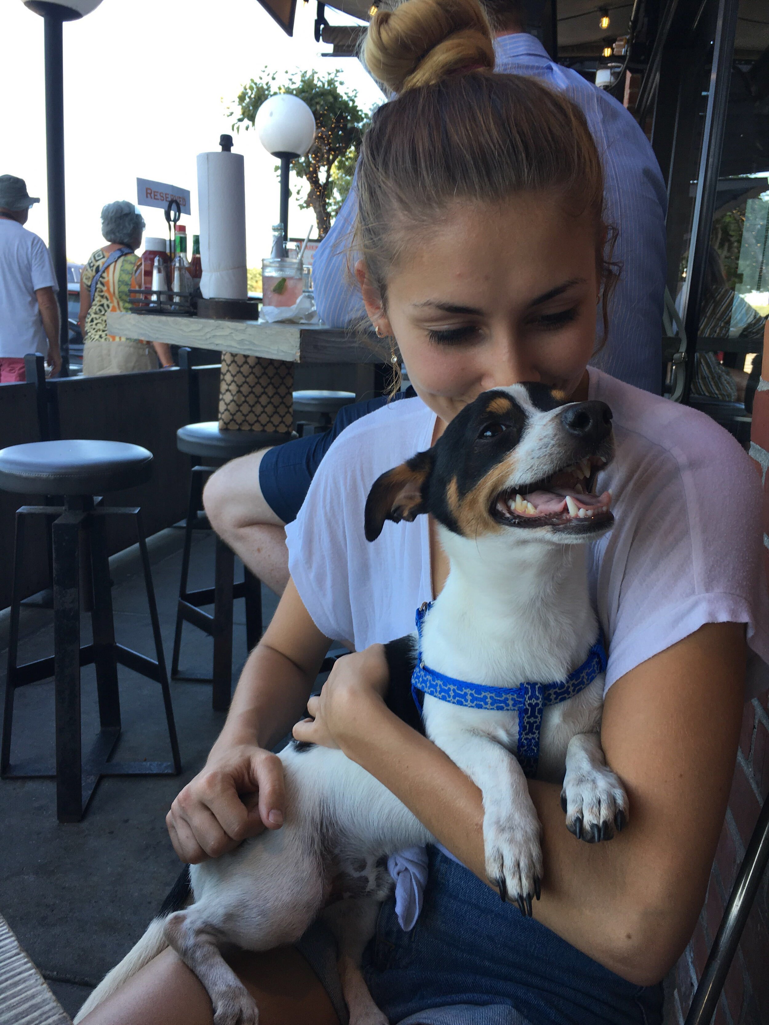 Happy Tails — Beyond Rescue