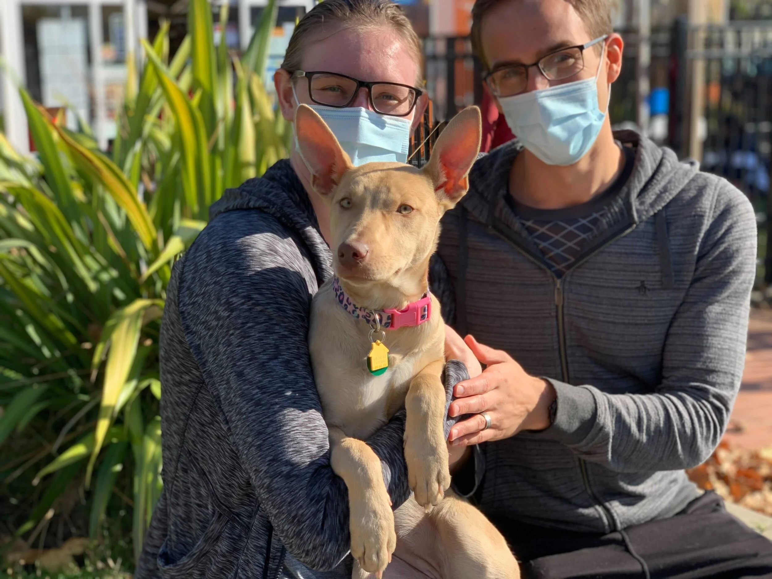 Happy Tails — Beyond Rescue