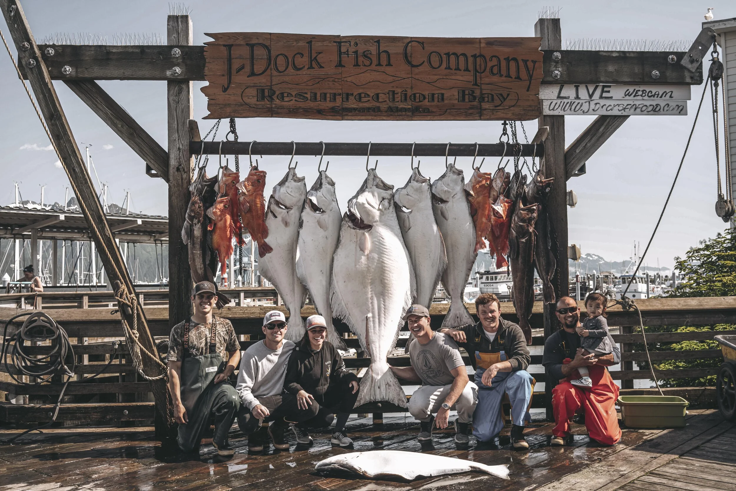 J-DOCK Halibut & Salmon Fishing Charters in Seward Alaska
