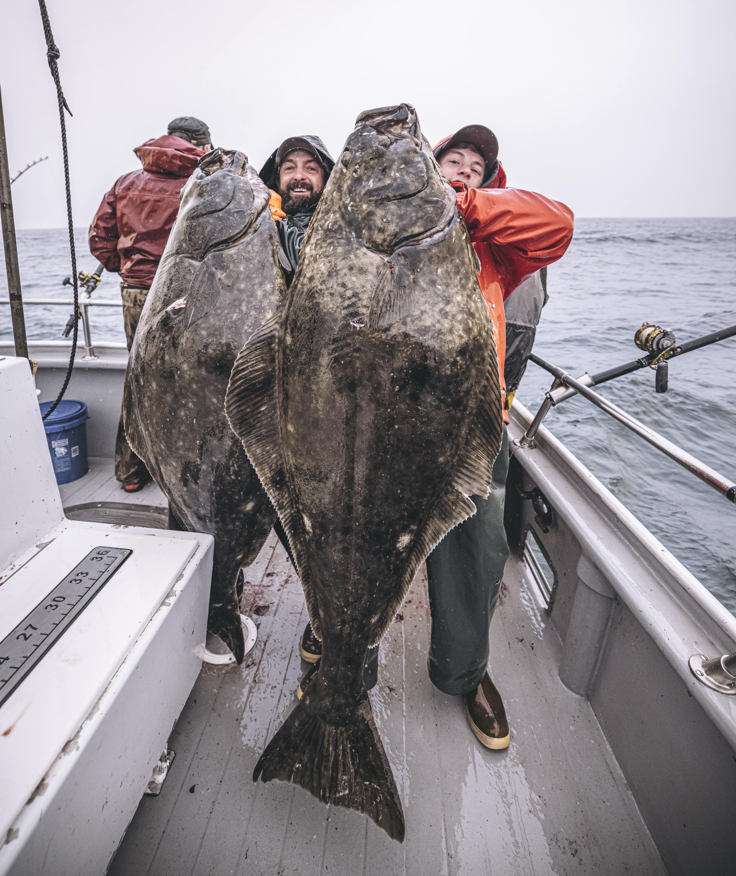 J-DOCK Halibut & Salmon Fishing Charters in Seward Alaska