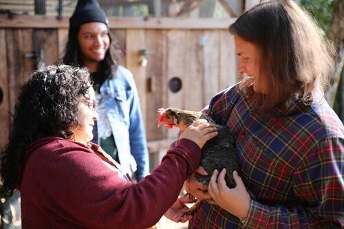 Projects — Nicolás Lell Benavides