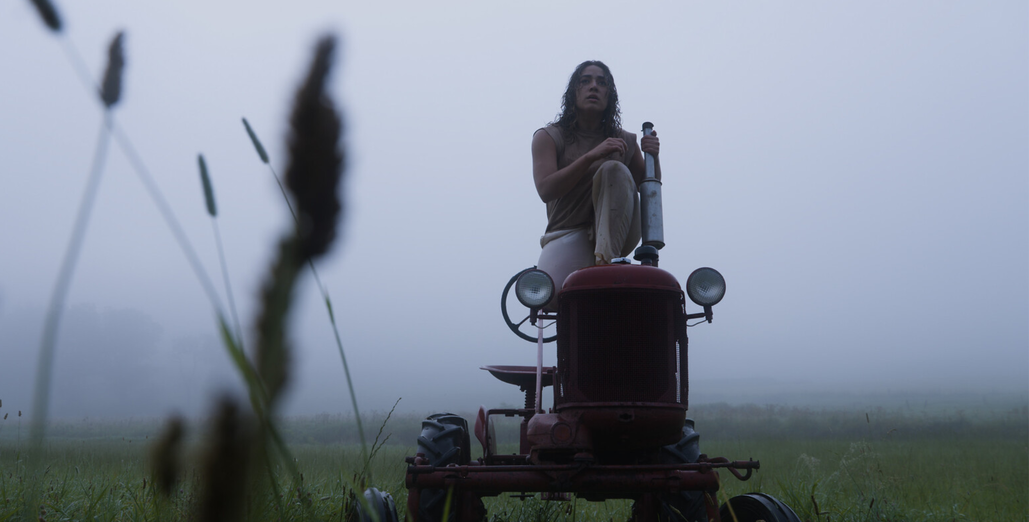 Nicolas Lell Benavides