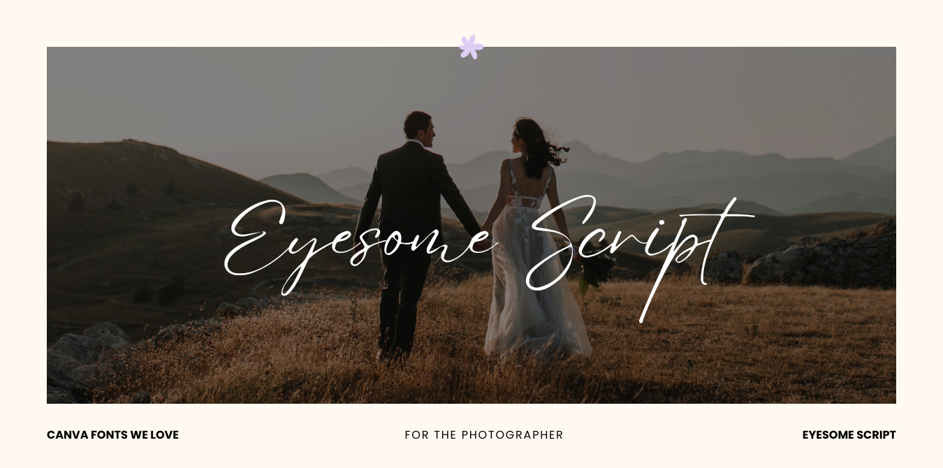 3 Canva Fonts Perfect for Niagara Photographers & Creatives — Cedar ...