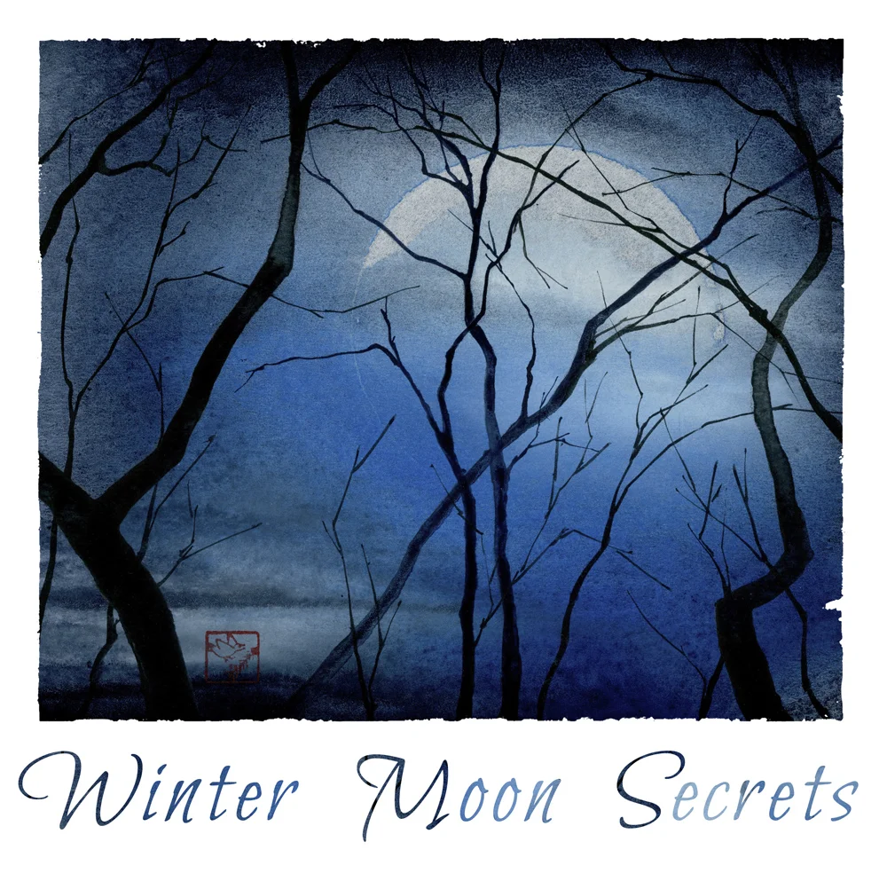 Winter Moon Secrets — Halcyon