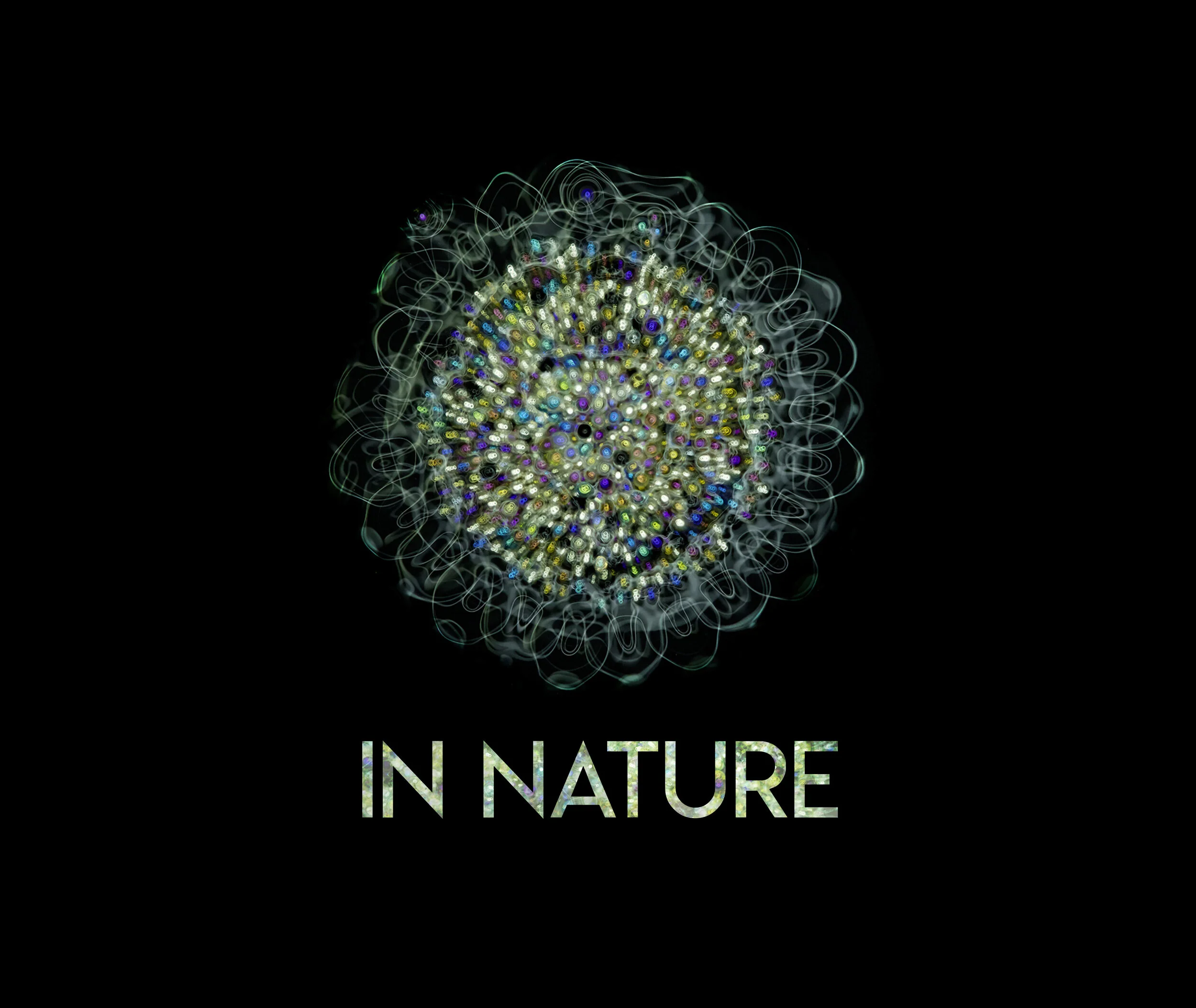 In Nature — Halcyon