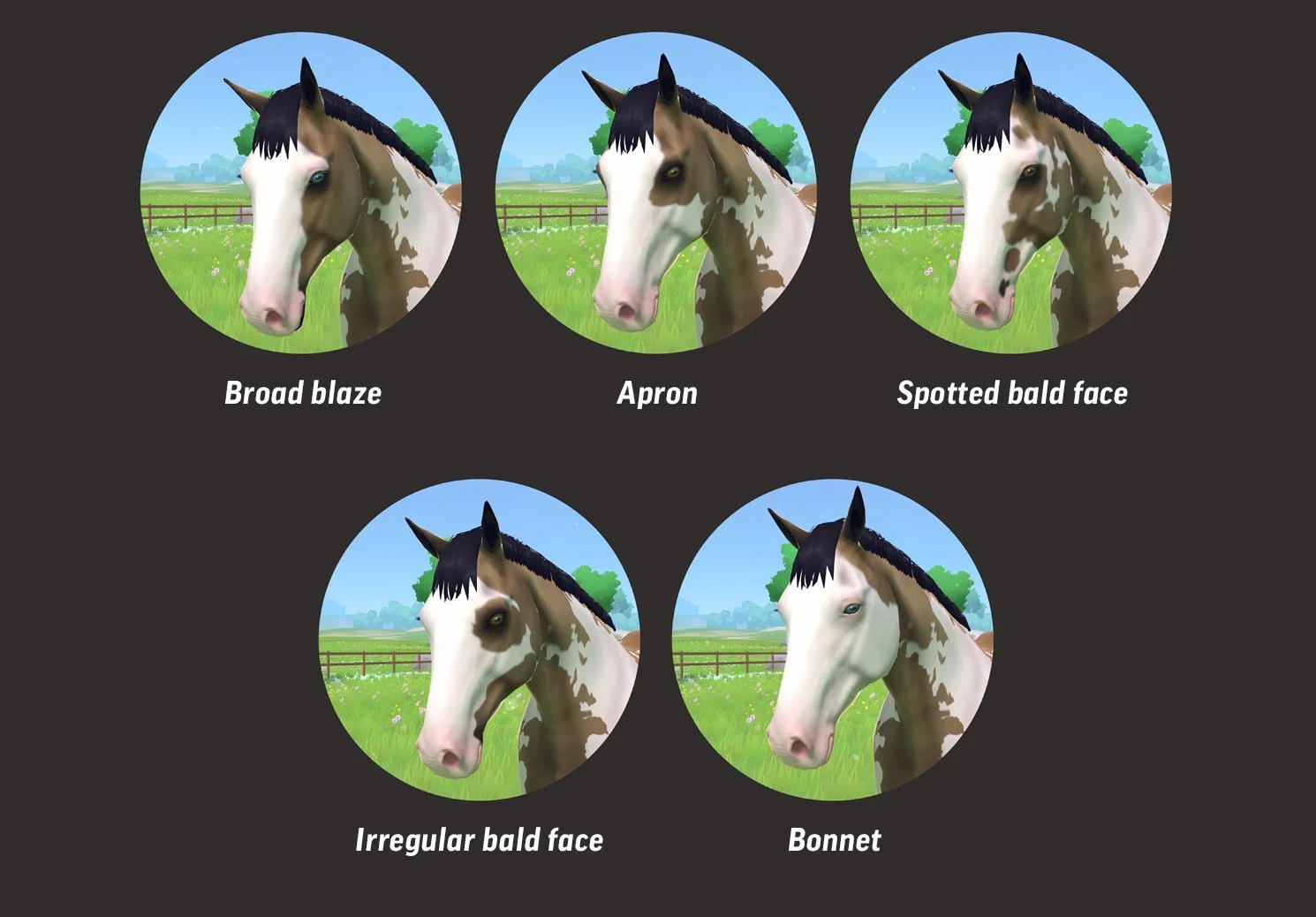 News — Equestrian the Horse Game