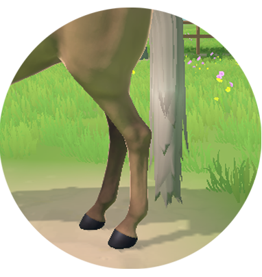 News — Equestrian the Horse Game