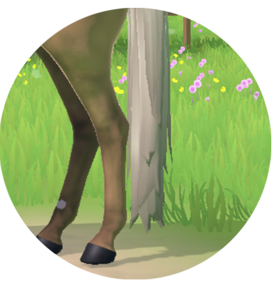 News — Equestrian the Horse Game