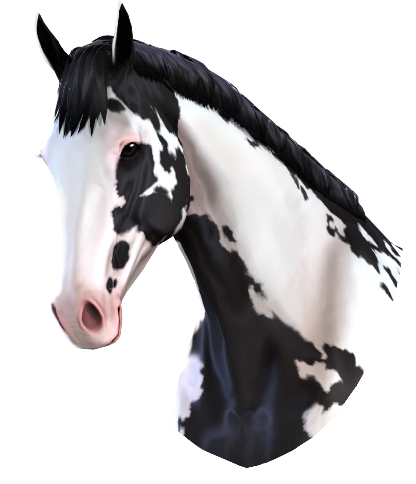 News — Equestrian the Horse Game