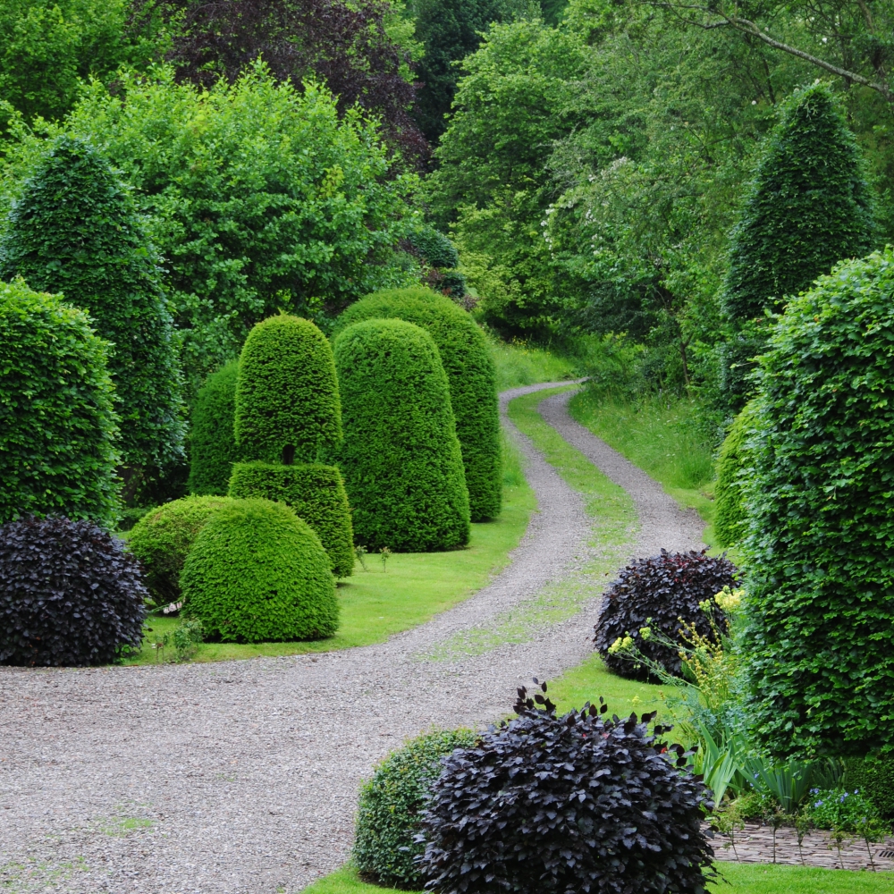 Return to Allt-y-bela — Arthur Road Landscapes