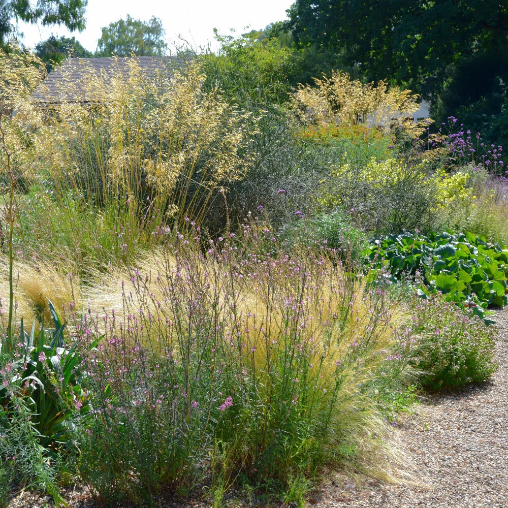 The Beth Chatto Gardens — Arthur Road Landscapes