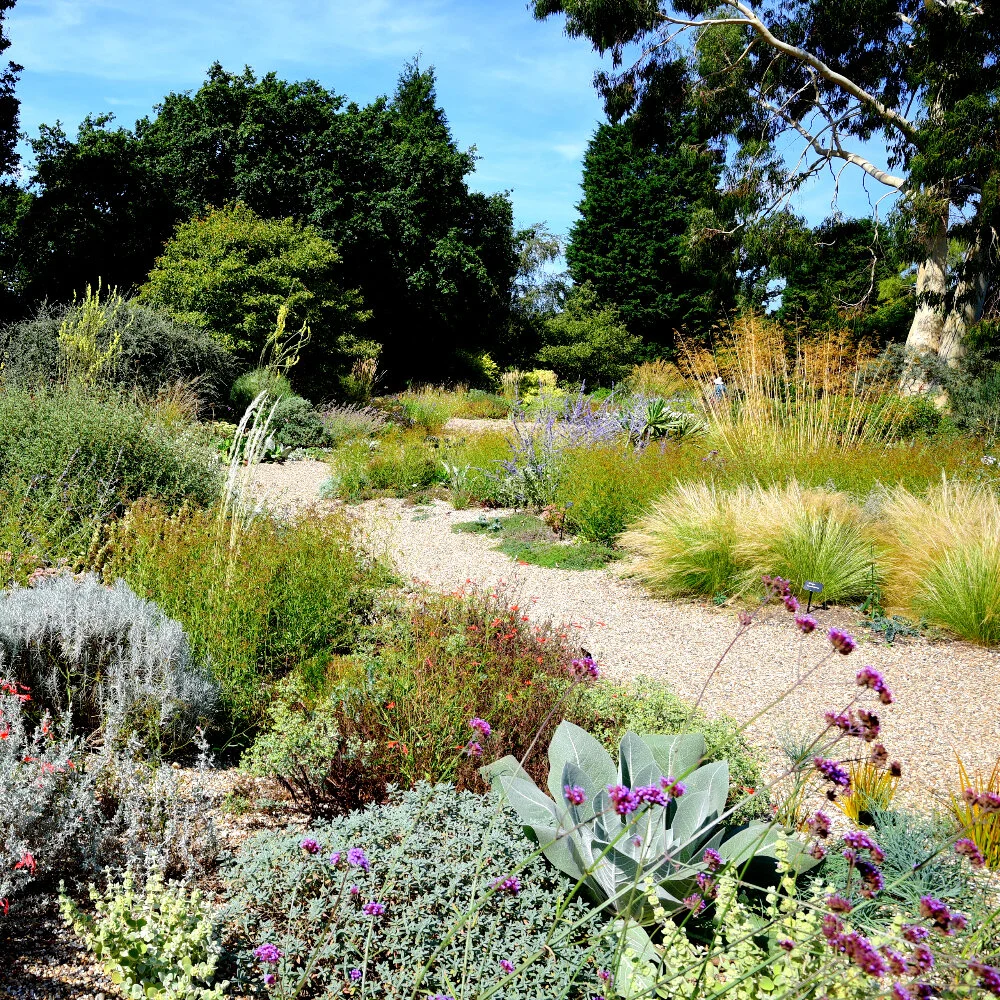 The Beth Chatto Gardens — Arthur Road Landscapes