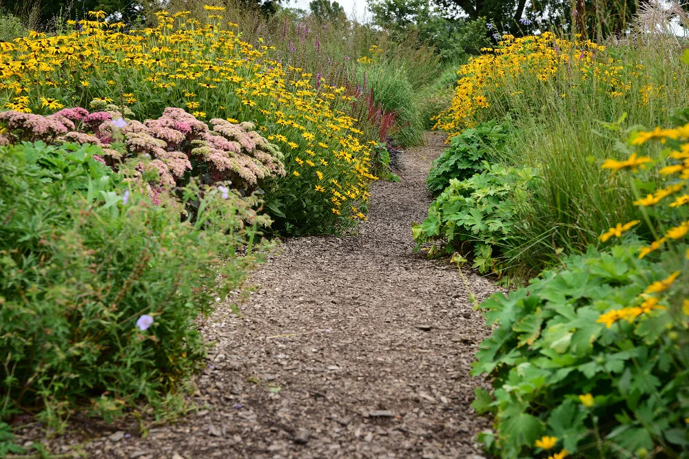 Sussex Prairies — Arthur Road Landscapes