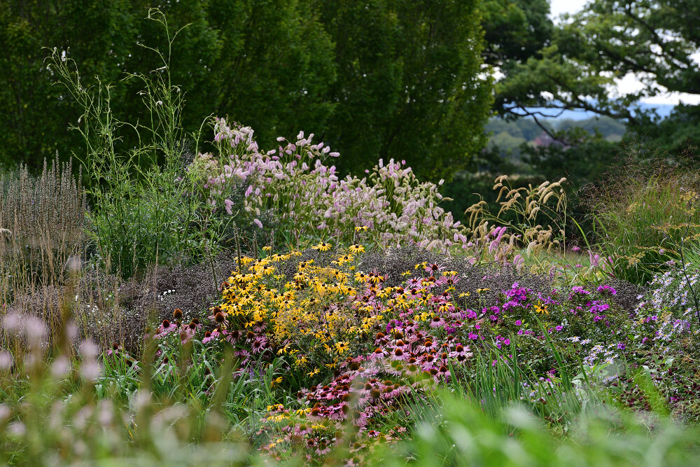 Sussex Prairies — Arthur Road Landscapes