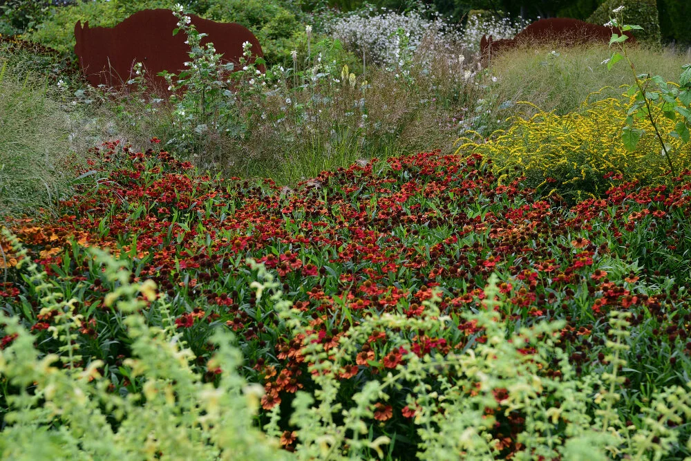 Sussex Prairies — Arthur Road Landscapes