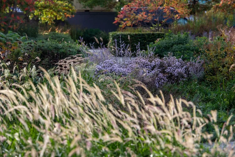 The Hepworth Wakefield Garden — Arthur Road Landscapes