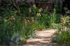 Chelsea 2023 Sarah Prices Garden — Arthur Road Landscapes