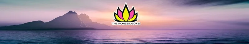 About Us — TheHonestGuys.co.uk