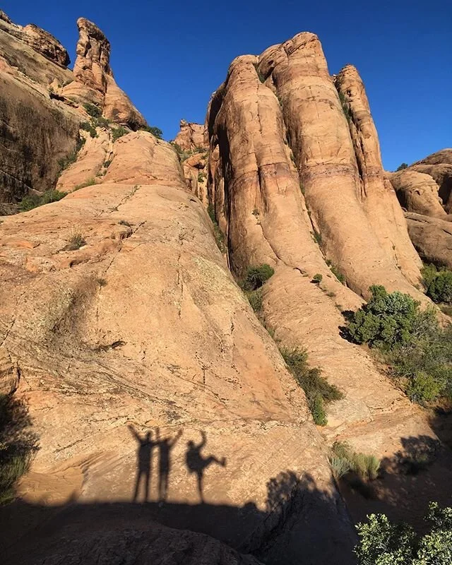 Rappelling — Moab Rock Climbing | Windgate Adventures