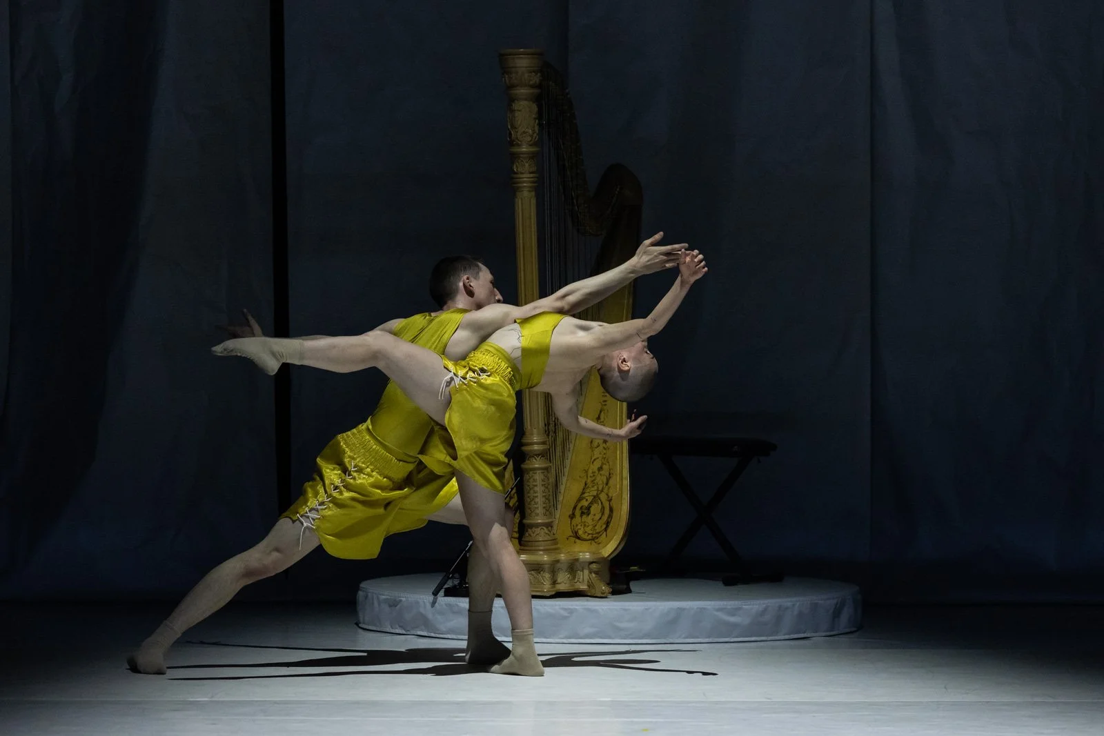 Stephanie Lake Company