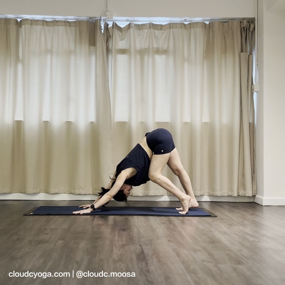 Downward Facing Dog: Essential Yoga Posture and Beginner Modifications ...
