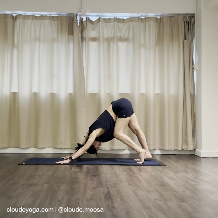 Downward Facing Dog: Essential Yoga Posture and Beginner Modifications ...