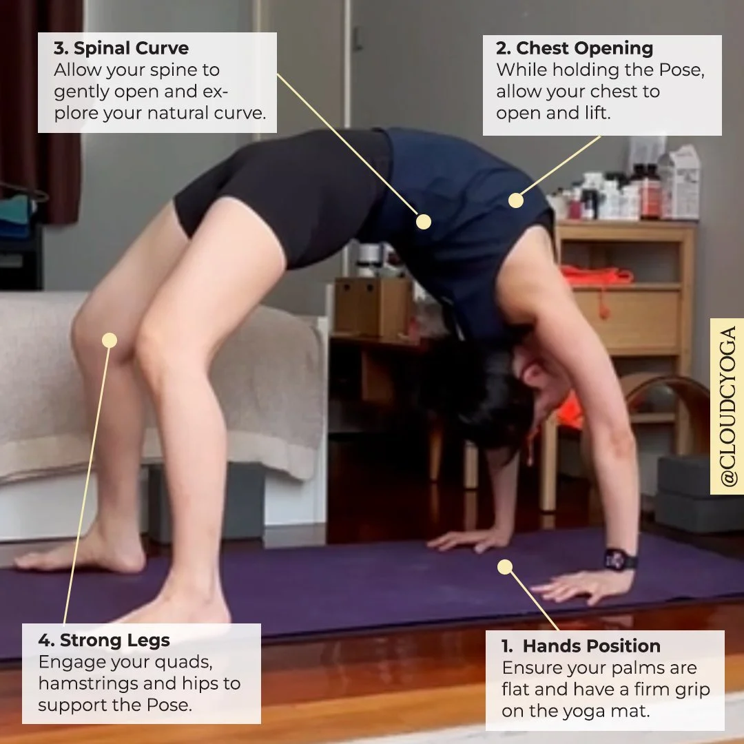 Wheel Pose (Urdhva Dhanurasana): Restore spinal curve and help with Hunchback | CloudC Yoga