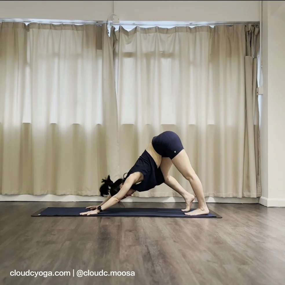 Downward Facing Dog: Essential Yoga Posture and Beginner Modifications ...