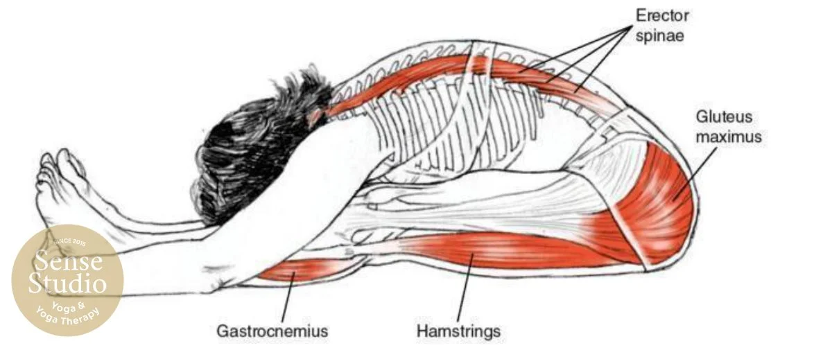 Stretch and Touch your Toes with a Seated Forward Bend | CloudC Yoga