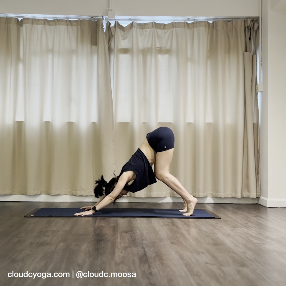 Downward Facing Dog: Essential Yoga Posture and Beginner Modifications for Maximum Benefits ...