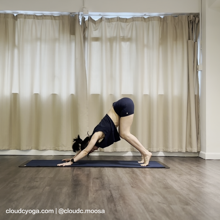 Downward Facing Dog: Essential Yoga Posture and Beginner Modifications for Maximum Benefits ...