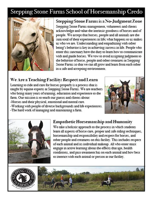What We Do — Stepping Stone Farms