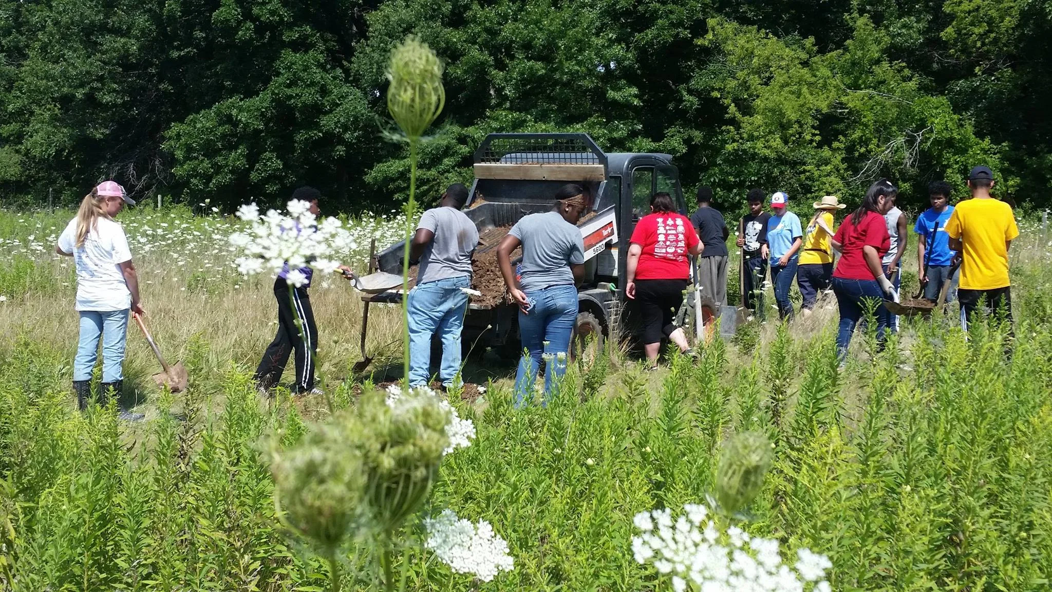 Volunteer — Stepping Stone Farms