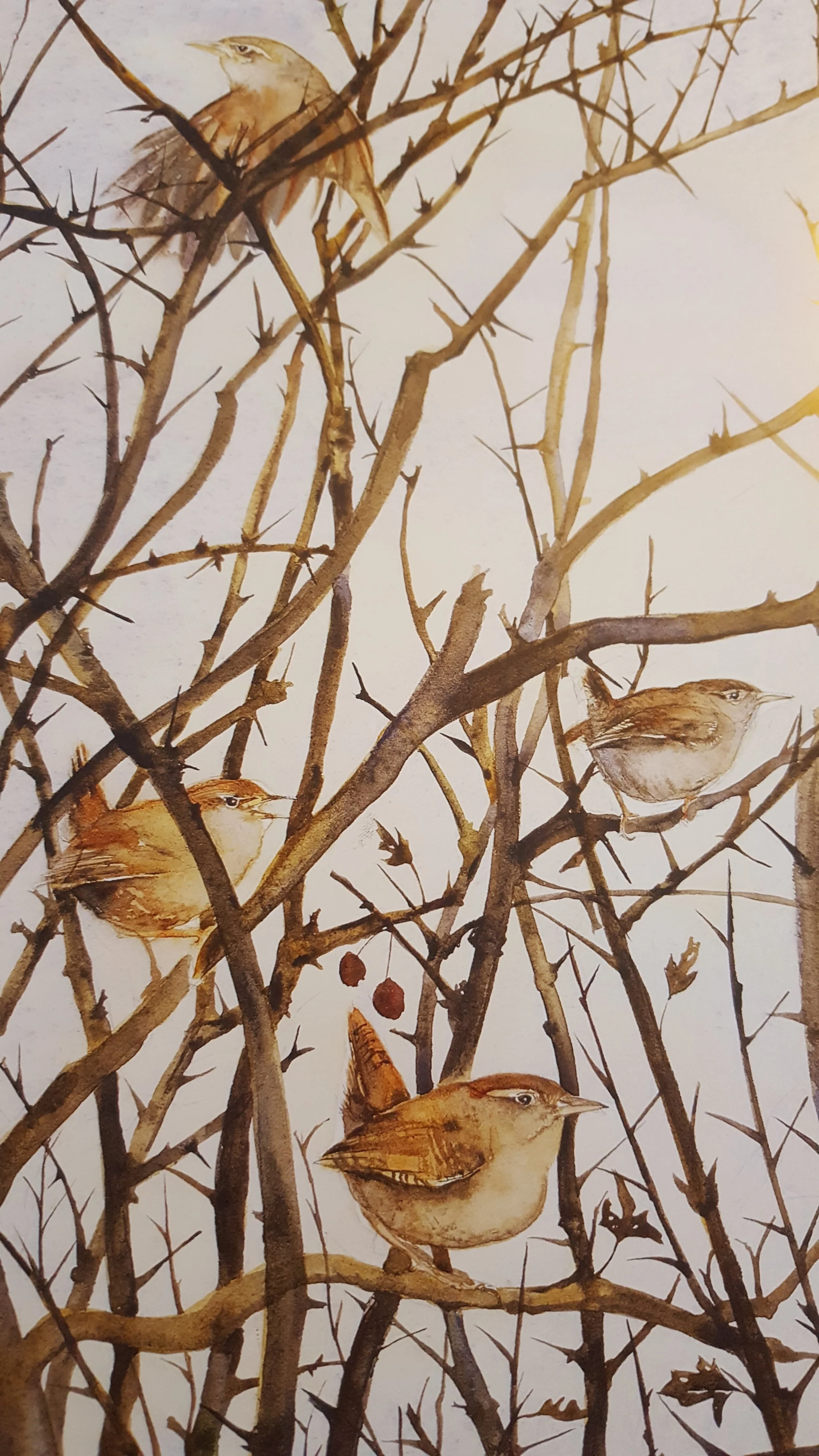 Why The Lost Words is perfect for nature-lovers, book-lovers ...