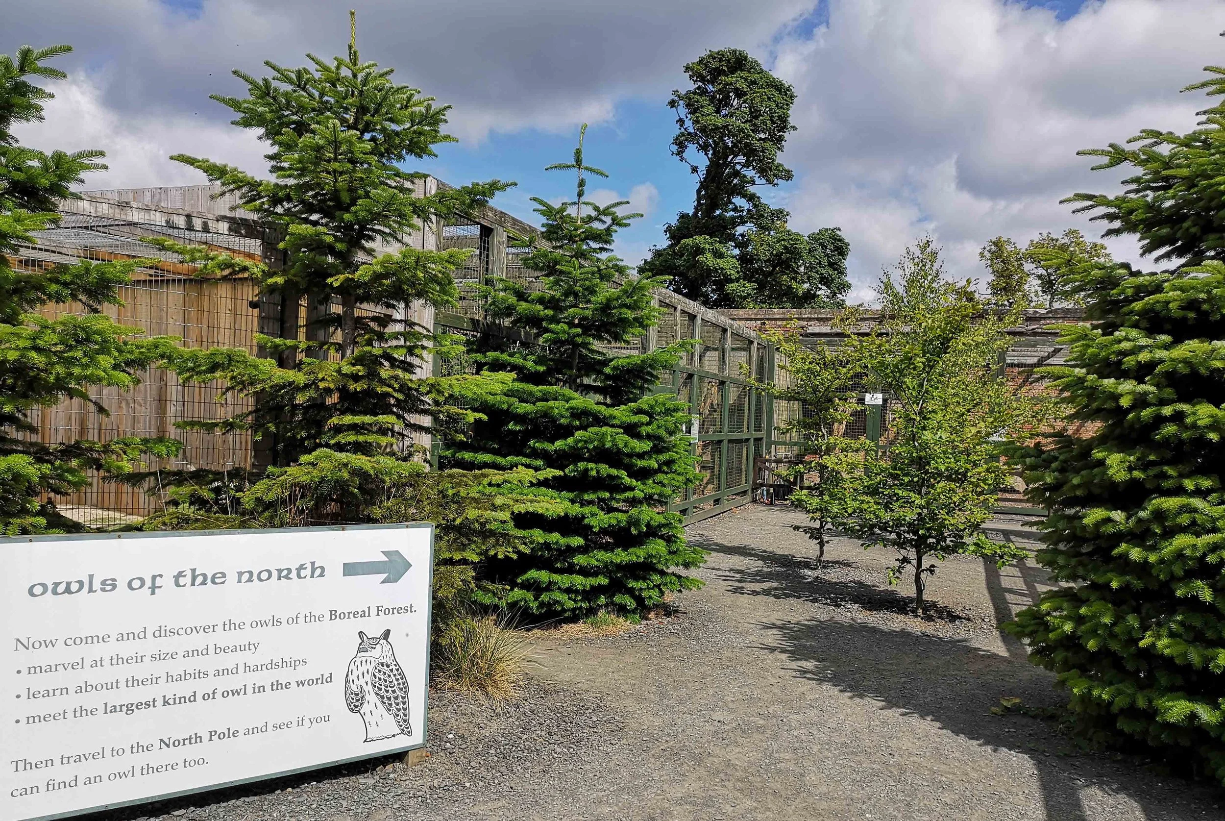 5 reasons to love the Scottish Owl Centre — the SCOTTISH countryman