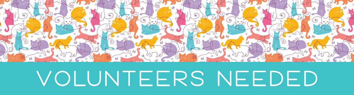 Volunteering Information — Purrfect Cat Rescue
