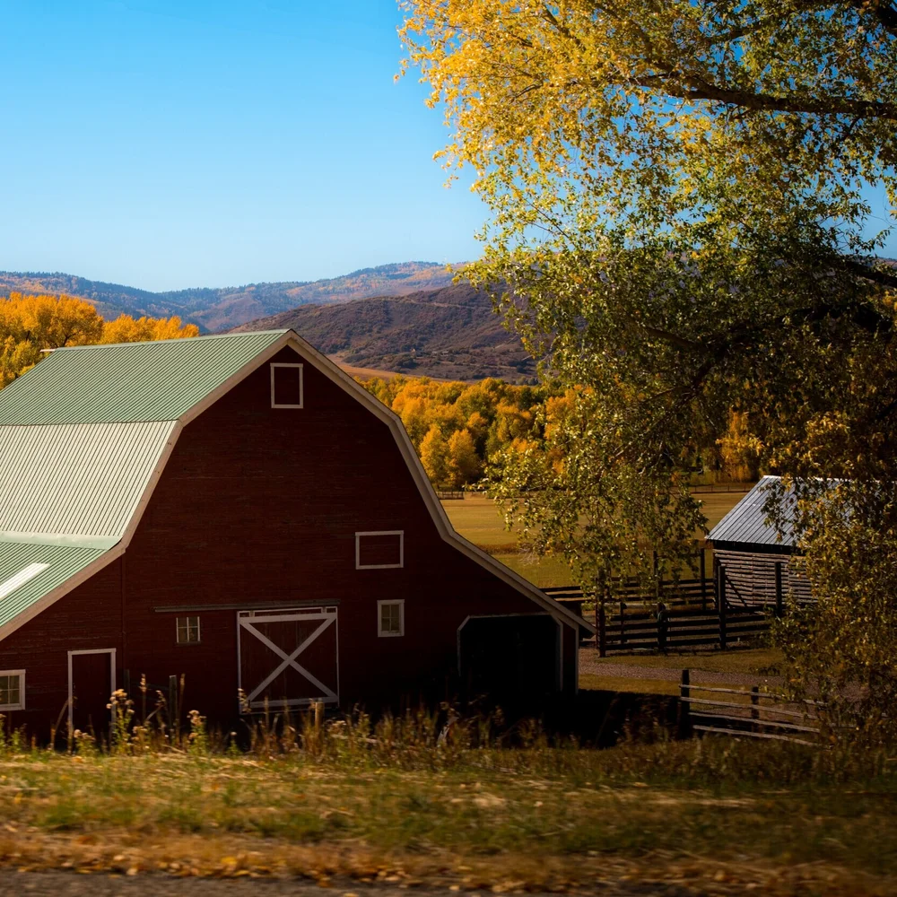 Oral History Project czechcenter.org — Czech Center Museum Houston