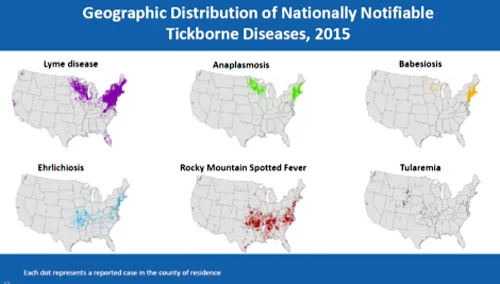 Rocky Mountain Spotted Fever Map