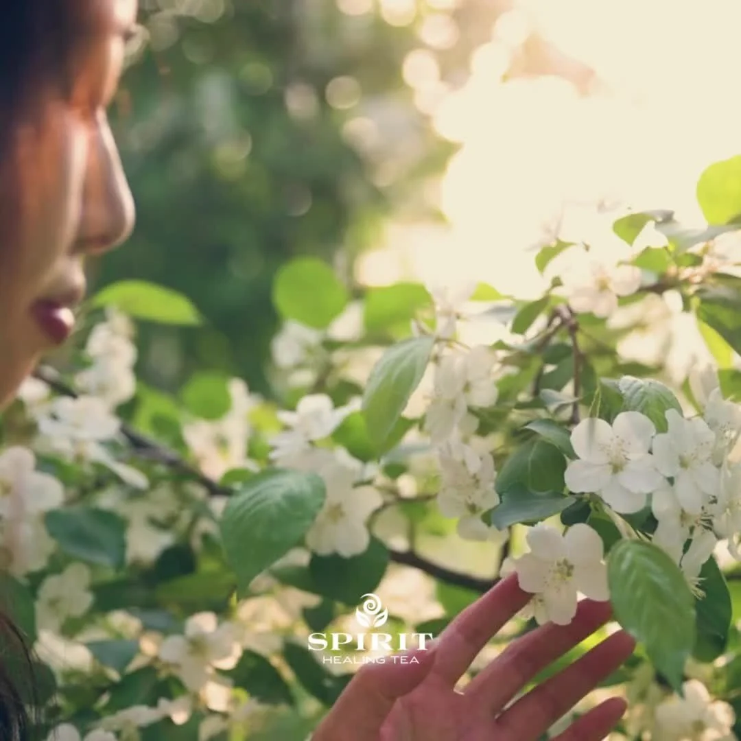 Spirit Healing Tea™ - Healing & Detox Teas
