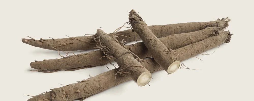 Burdock Root - A Powerful Medicinal Herb — Spirit Healing Tea ...