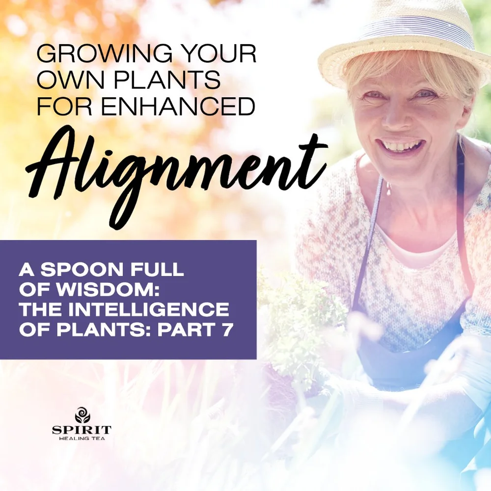 Growing Your Own Plants for Enhanced Alignment — Spirit Healing Tea ...