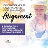 Growing Your Own Plants for Enhanced Alignment — Spirit Healing Tea ...