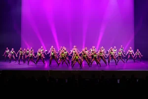 THE PERFORMANCE COMPANY