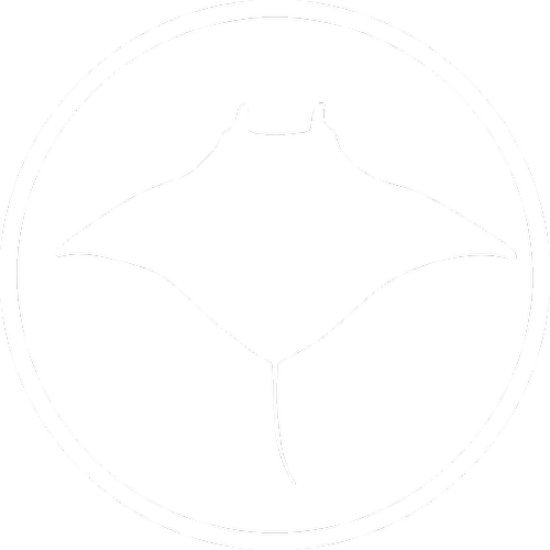 Our Impact | Achievements in Manta Ray Research, Education and ...