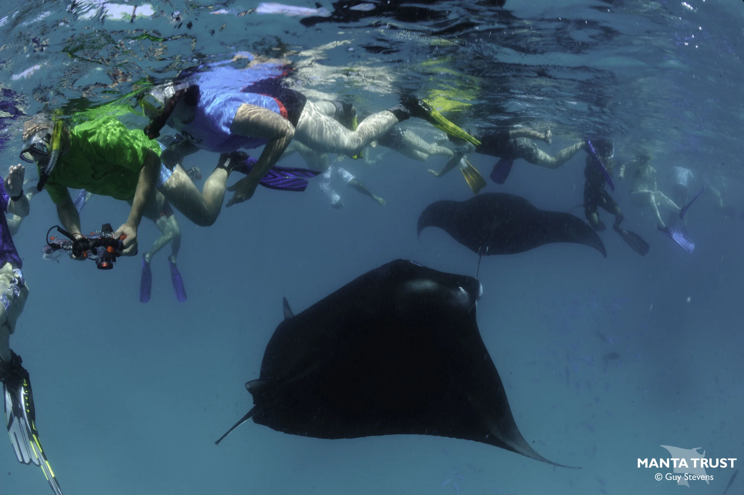 Other human-originated Threats — Manta Trust